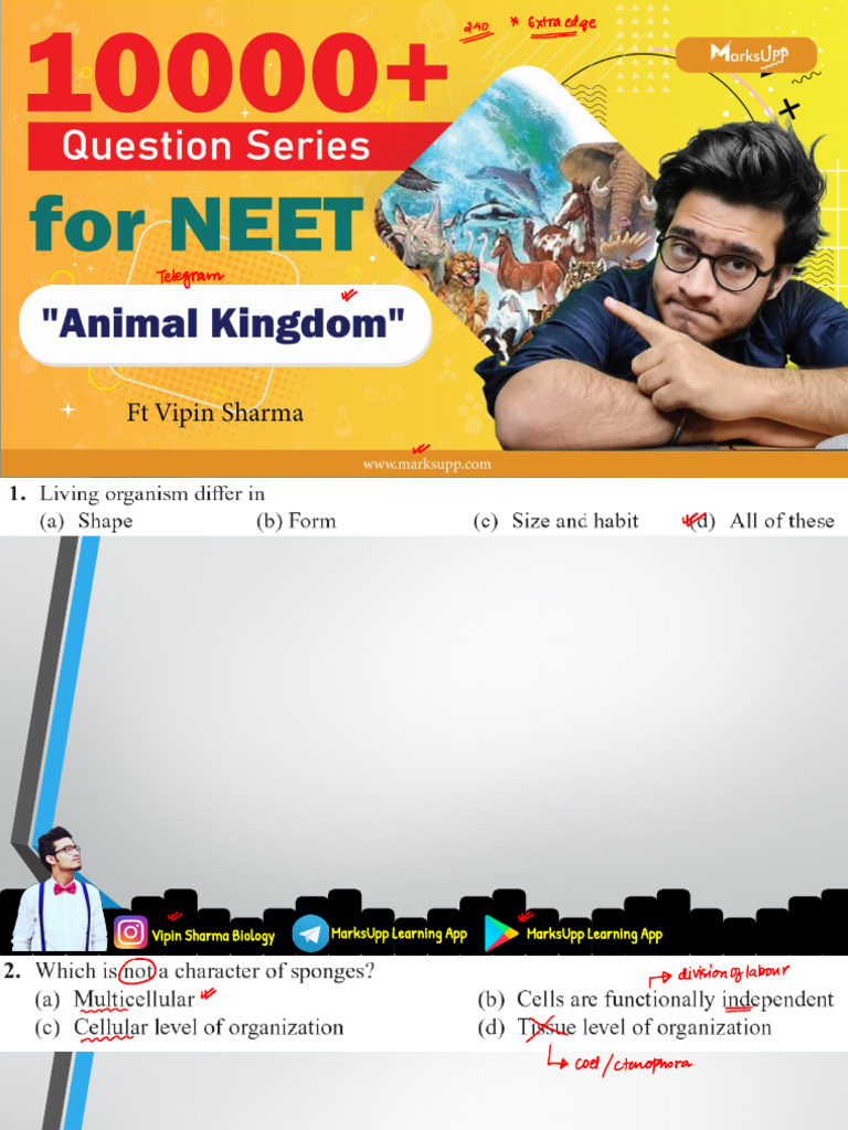 Animal Kingdom | PDF | Life Sciences | Biology