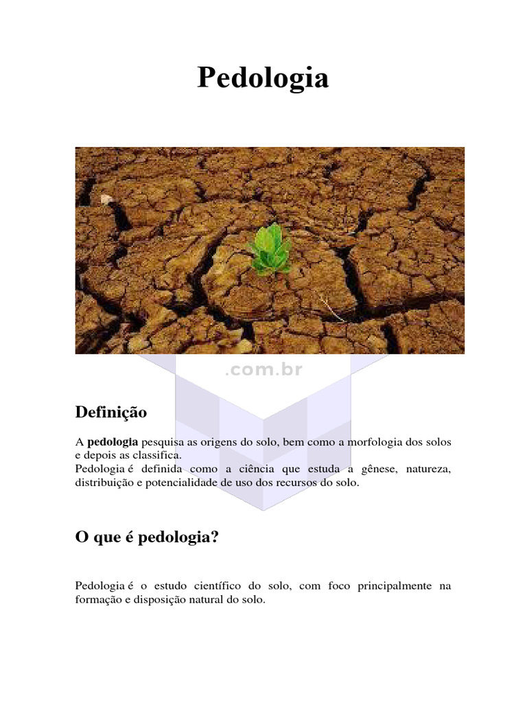 Bsico em Pedologia Apostila01 | PDF | Solo | Natureza