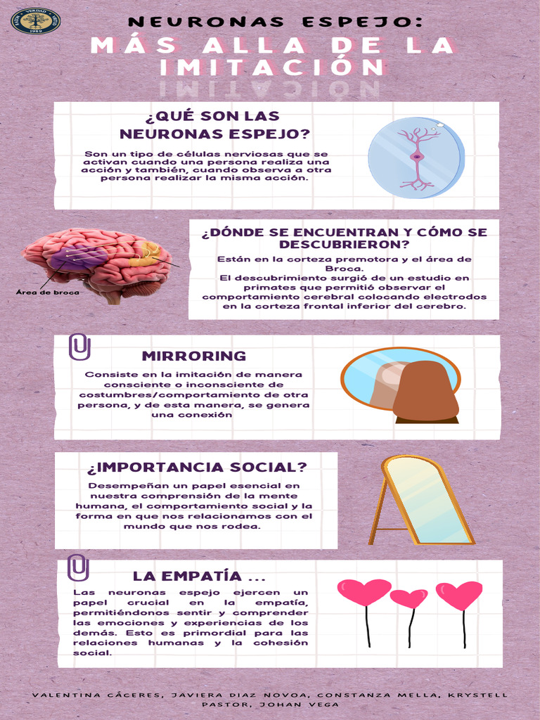 Mirroring y Neurona Espejo T01 | PDF