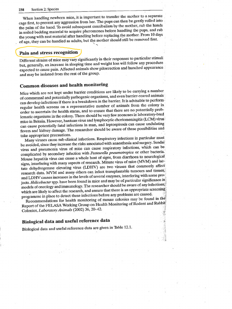 Small Laboratory Animals p6 | PDF