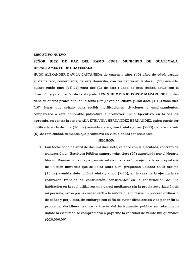 ejecutivo-transaccion-pdf-ley-p-blica-judicaturas