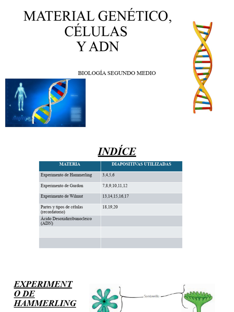 Material Genético, Células y Adn Biología | PDF | Citoplasma | Biología ...