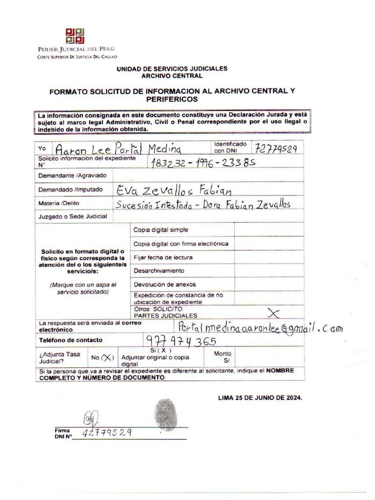 Formato de Solicitud Entregable | PDF