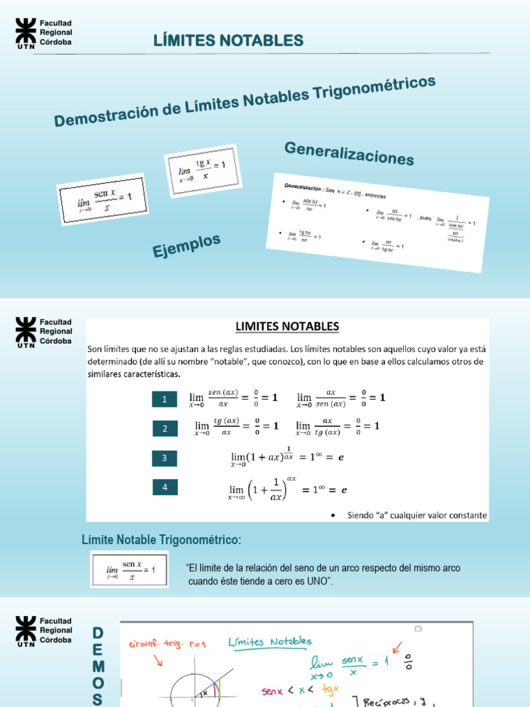 4.límites Notables | PDF