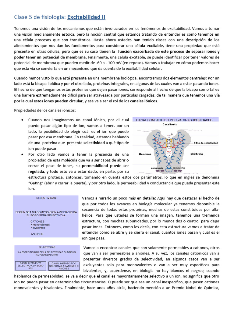 Clase 5, Excitabilidad II | PDF | Canal de iones | Bicapa lipídica