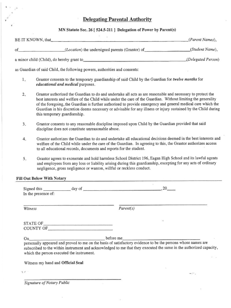 DOPA Form Guarda y Custodia | PDF