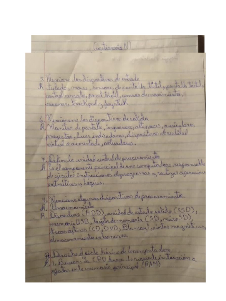 Consigna, Carol Osorio 1.6 | PDF