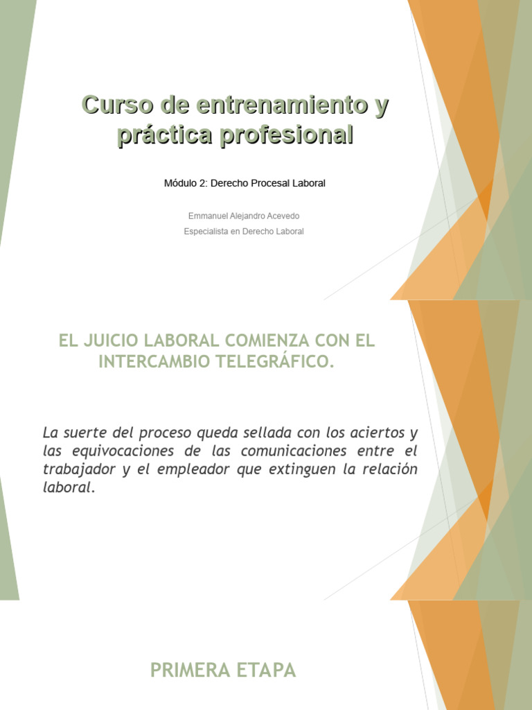 Curso de Entrenamiento y Práctica Profesional | PDF | Empleo | Justicia