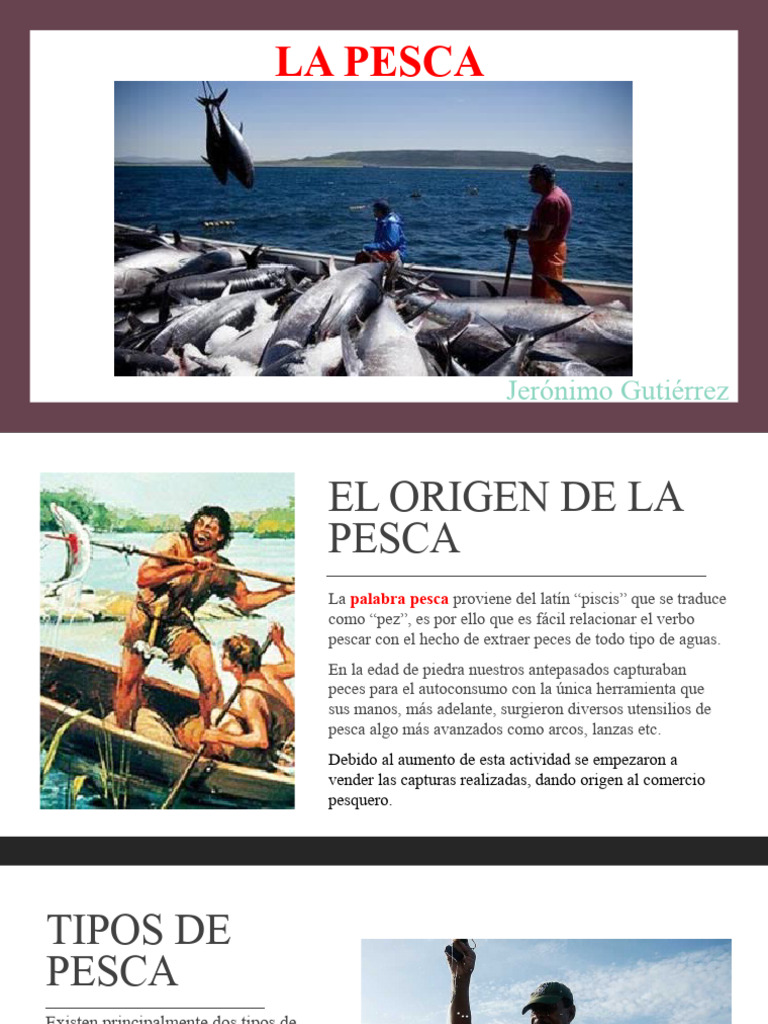 Exposición La Pesca | PDF