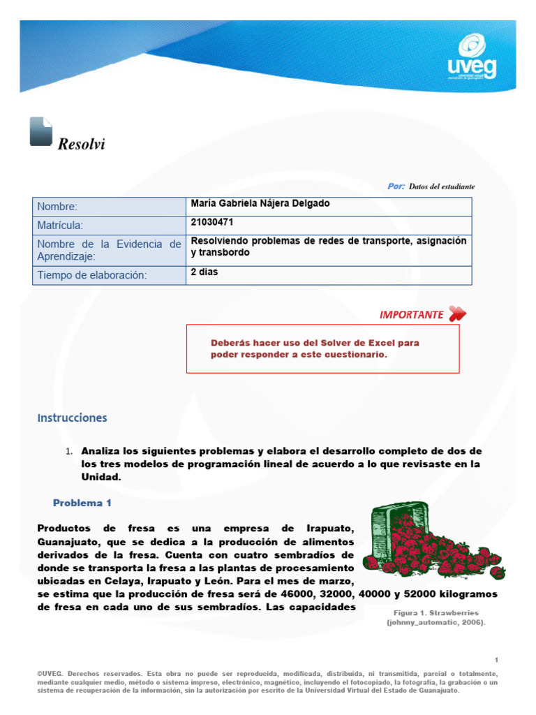 FIO EA5 Formato | PDF | Nadando | Programación lineal