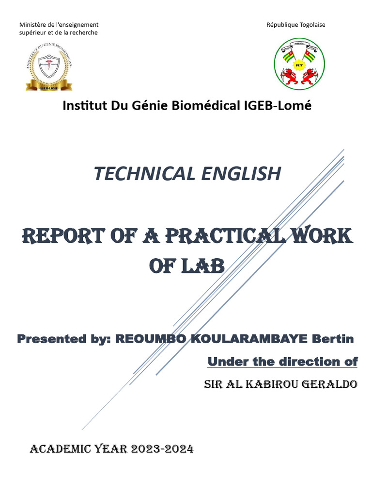 Exposé Bertin | PDF | Technology & Engineering