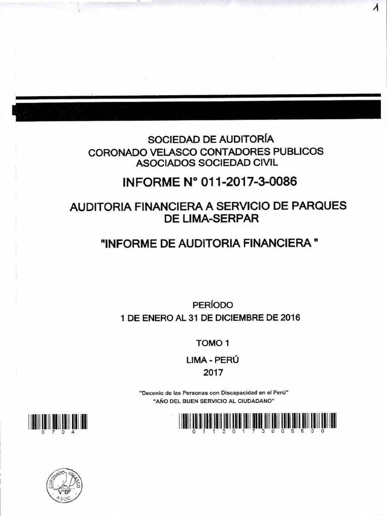 Informe de Auditoria Financiera 2017 | PDF