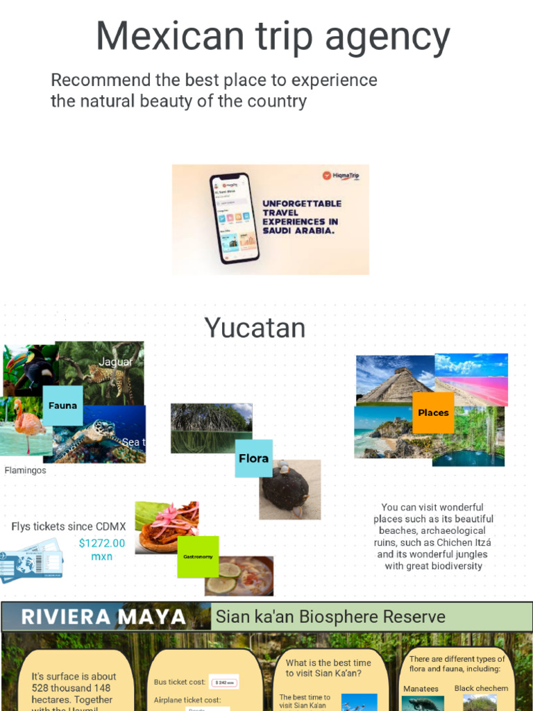 Visiting A Mexican Place | PDF