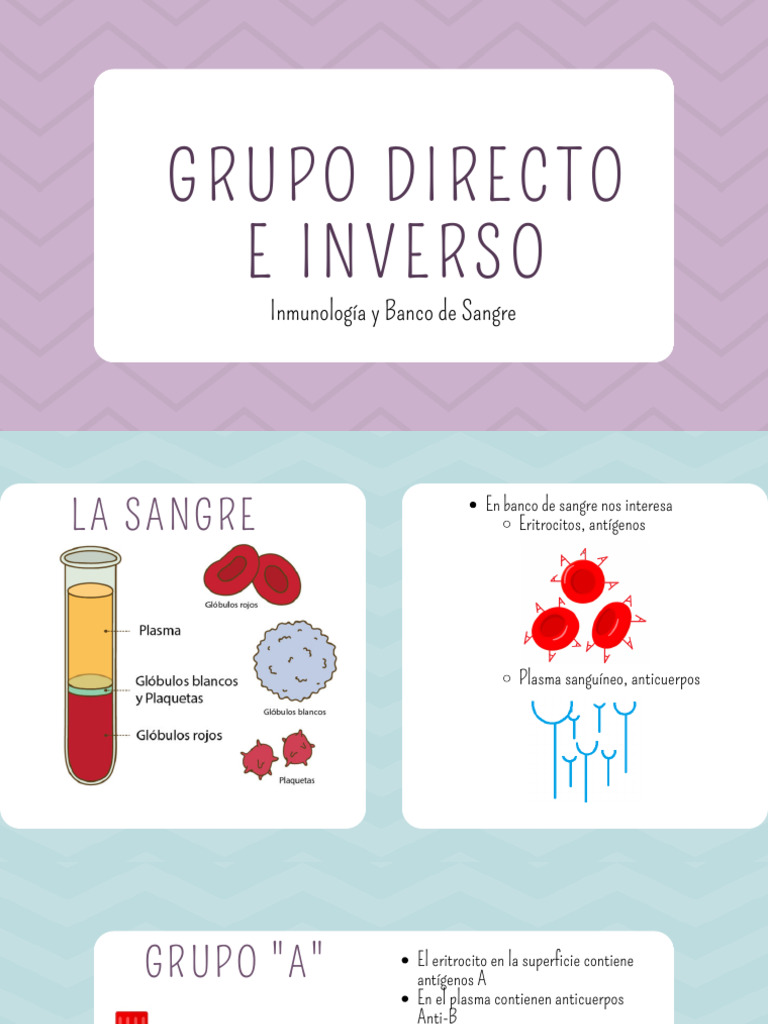 grupo_directo_e_inverso | Descargar gratis PDF | Sangre | Anatomia animal