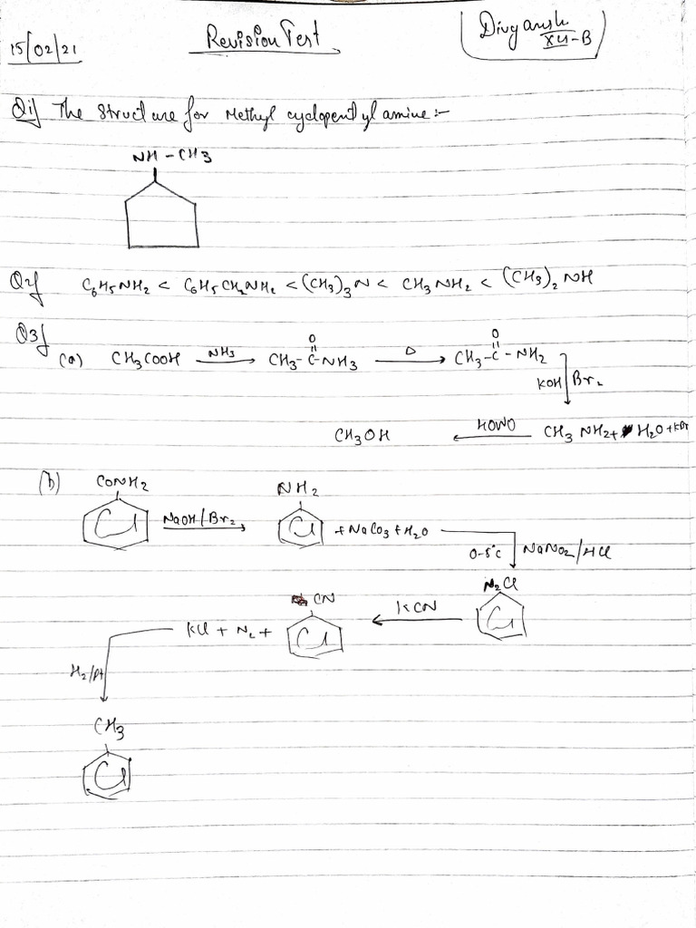 Amines Test Overview | PDF | Science & Mathematics