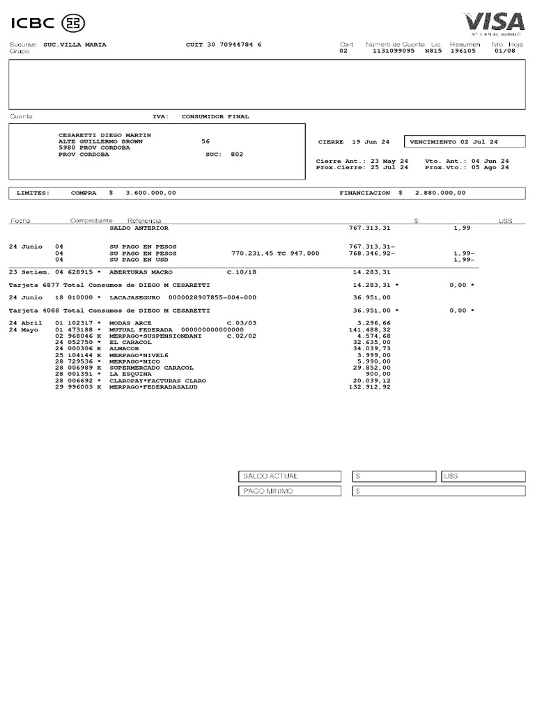 2 Jul 2024 | PDF | Visa Inc. | Bancos