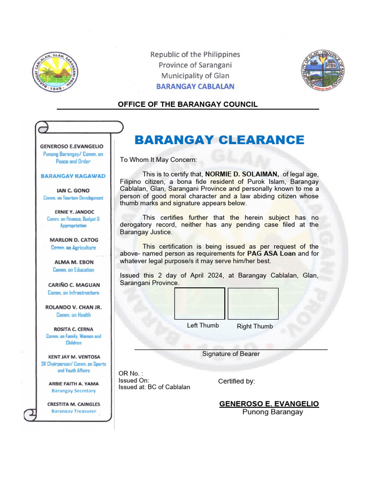 Brgy Certification | PDF