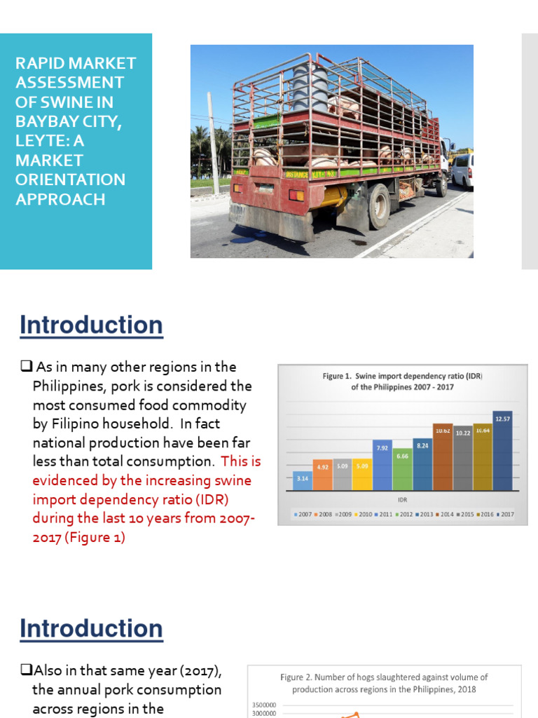 Rapid Market Assessment of Swine in Baybay City Mini Project | PDF ...