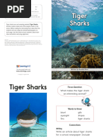 All About Sharks Reading Comprehension | PDF | Sharks | English As A ...