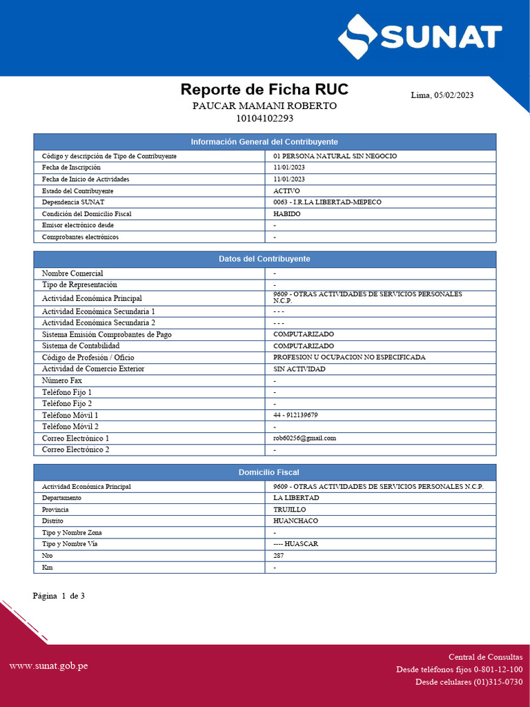 Doc. Roberto Paucar | PDF | Documento de identidad | Perú