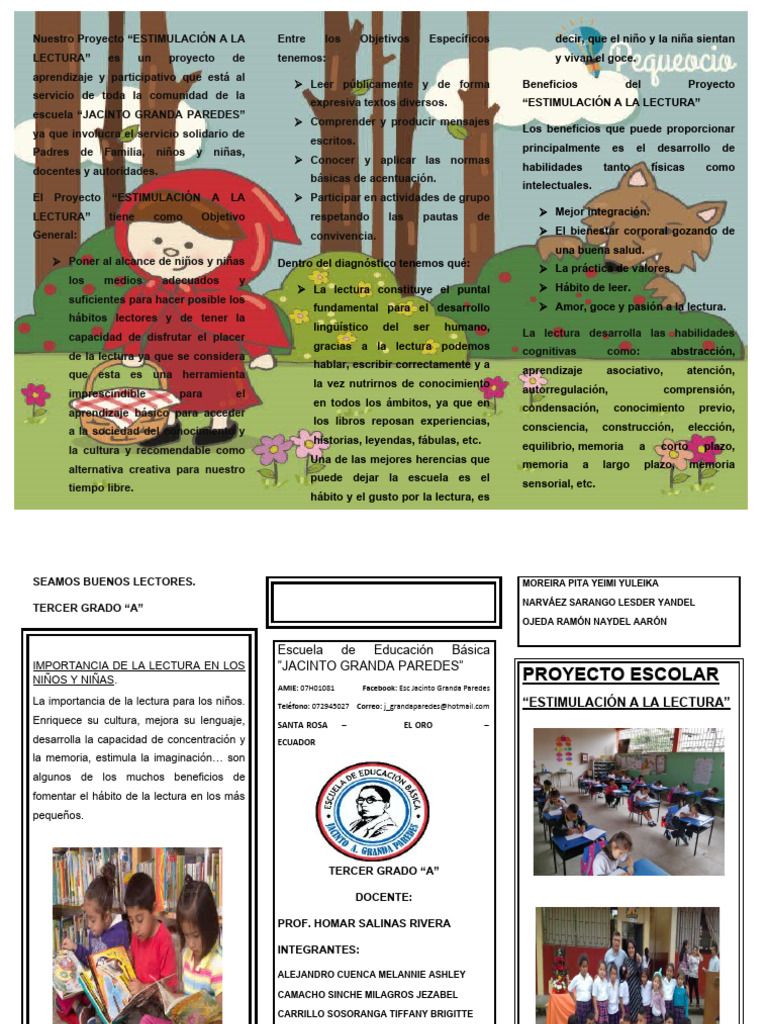 Triptico Proyecto Escolar | PDF | Aprendizaje | Felicidad