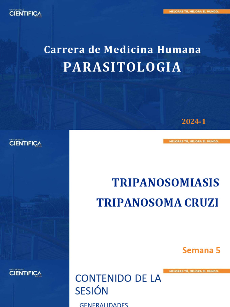 Parasitología Sem-06 Sesión-06 2024-1 | PDF | Especialidades Medicas ...
