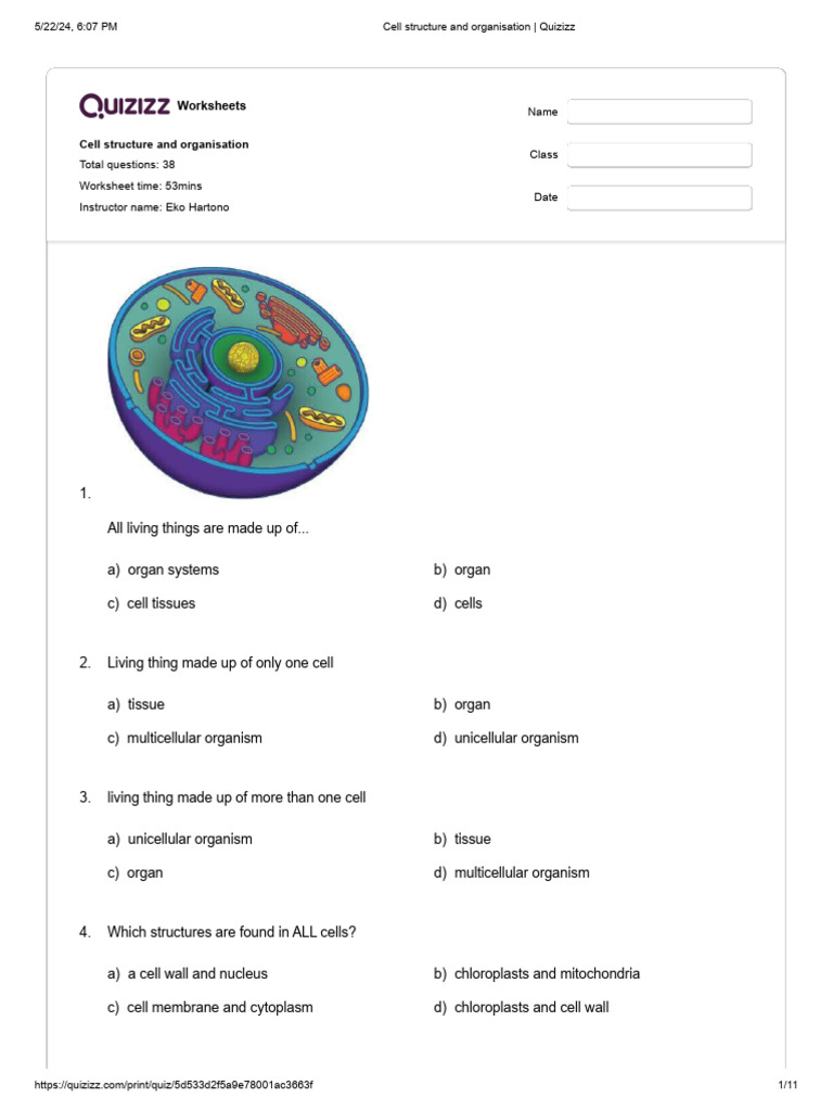 Cell Structure Quiz Worksheet | PDF | Cell (Biology) | Organelle