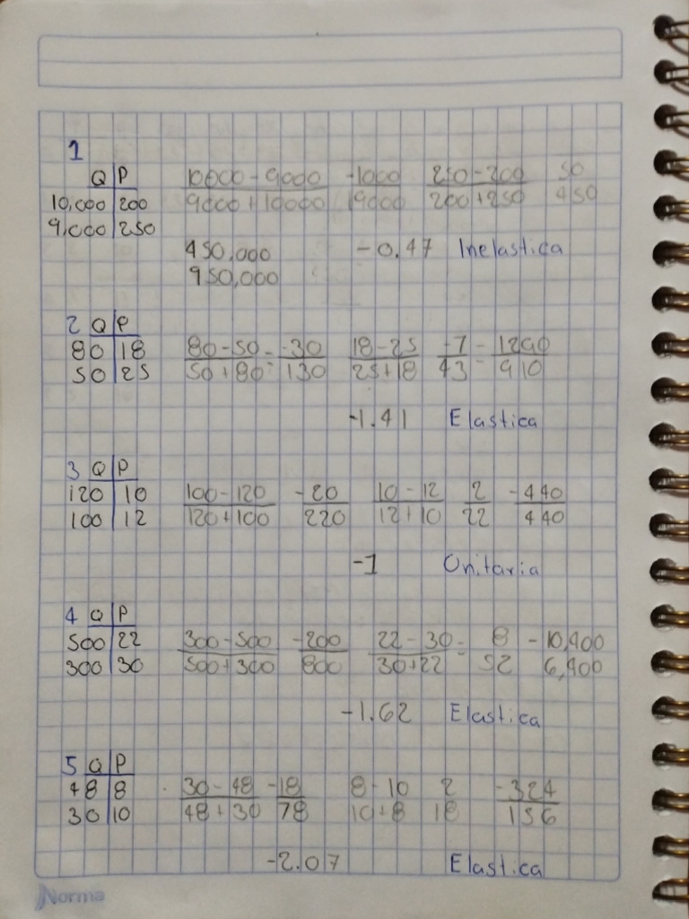 Ejer Elasticidad | PDF