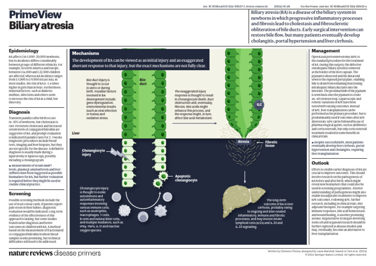 Biliary Atresia Source Nat Rev Dis Primers So 2024 Pdf Liver