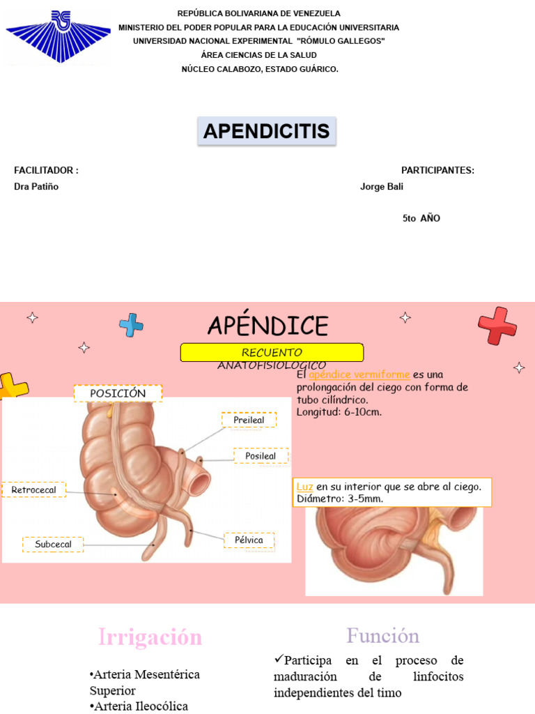 Apendicitis: Anatomía, Diagnóstico y Tratamiento | PDF | Especialidades ...