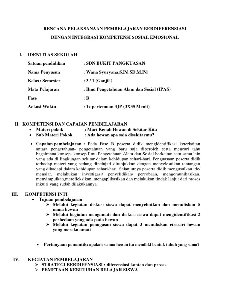 RPP Berdiferensiasi (Kse) | PDF