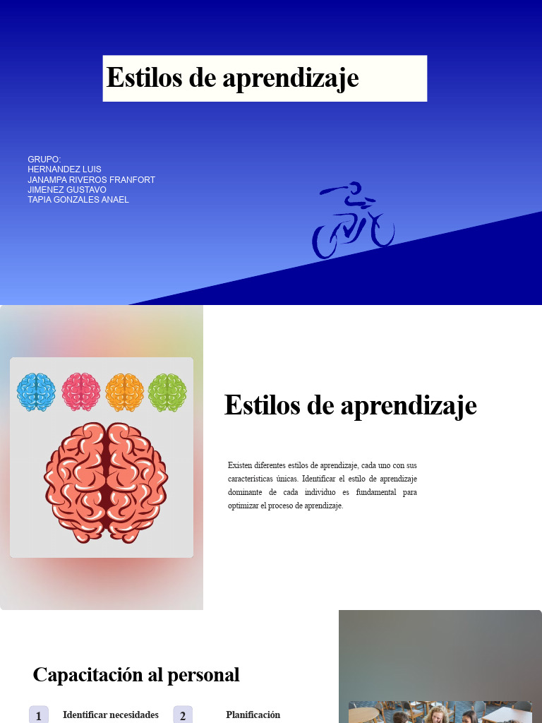 Estilos de Aprendizaje | Descargar gratis PDF | Aprendizaje | Evaluación