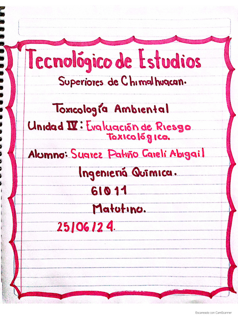 Resumen Unidad IV | PDF