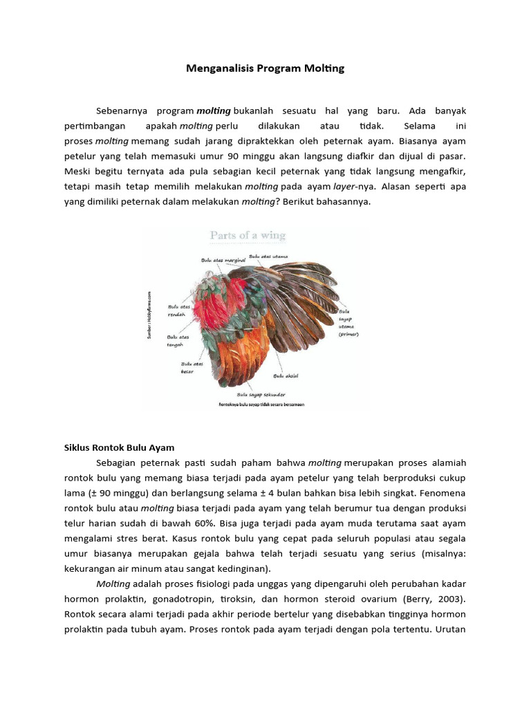 Proses Molting Petelur | PDF | Sains & Matematika | Teknologi & Rekayasa