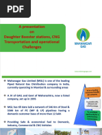 MNGL Piped Natural Gas Connection Guide | PDF