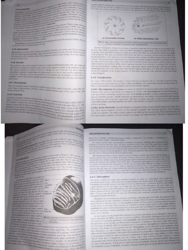 Adobe Scan 21-Jun-2024 | PDF