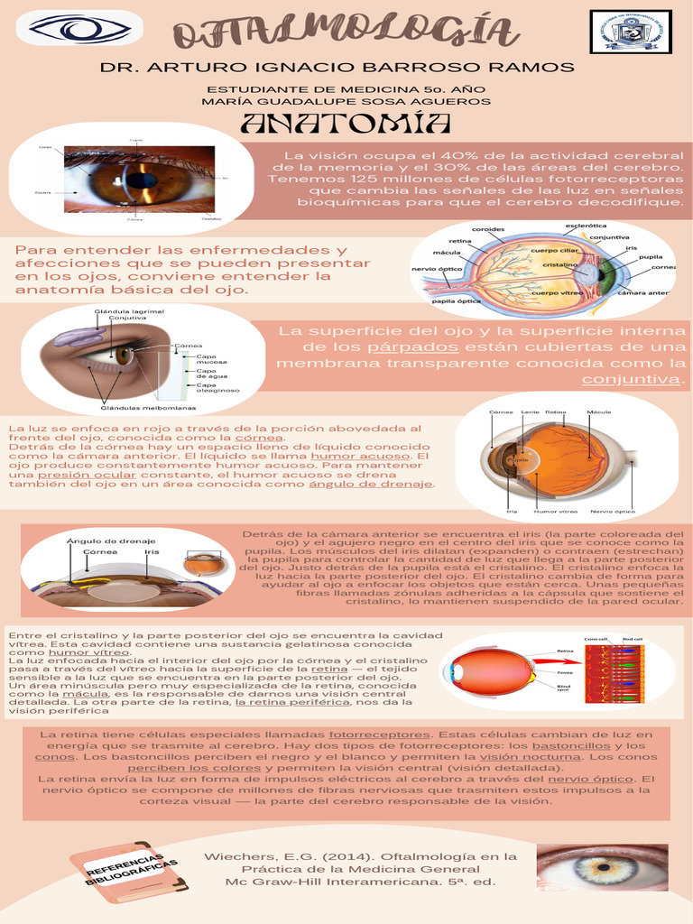 Infografia Oftalmo | PDF | Ojo humano | Percepción visual