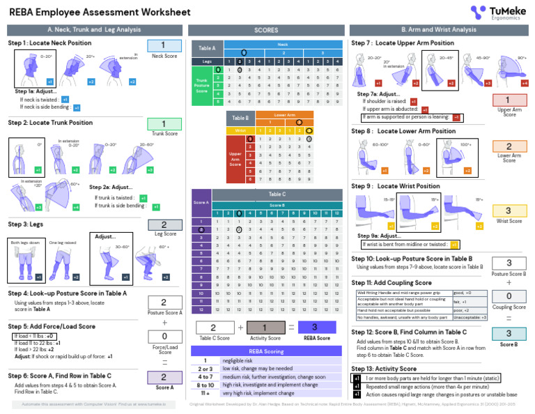 REBA Worksheet | PDF | Anatomical Terms Of Motion