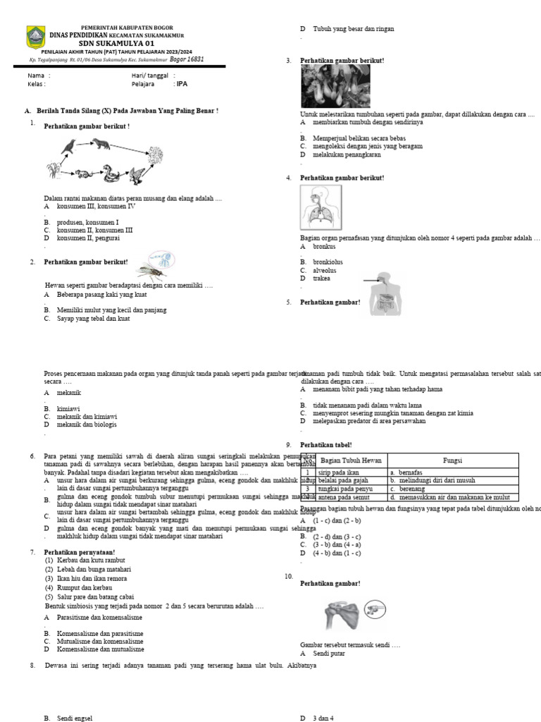 Soal Pat Ipa Kelas 6 K2013 | PDF
