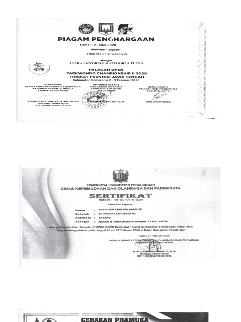 Scan Piagam Anak | PDF
