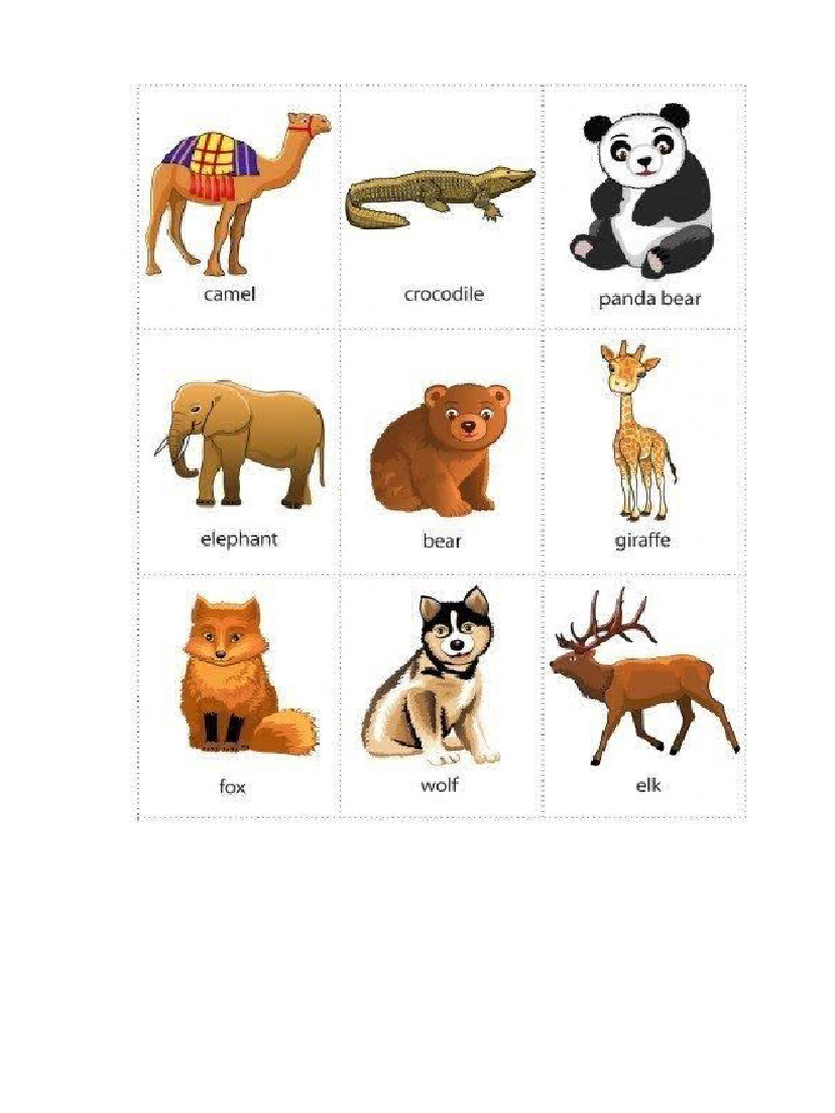 Animals | PDF