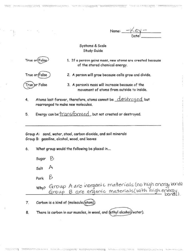 Systems & Scale Answer Key | PDF