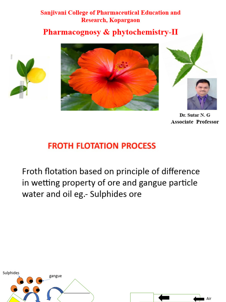 Froth Flotation Principles in Ore Separation | PDF