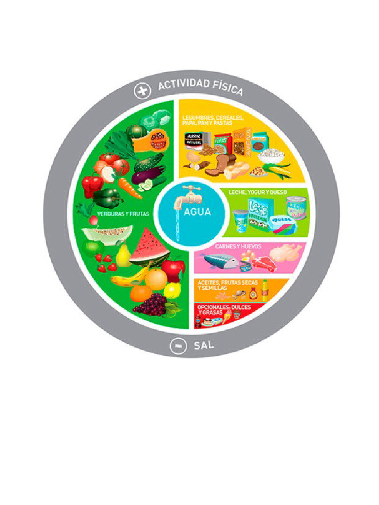 ovalo nutricional | PDF