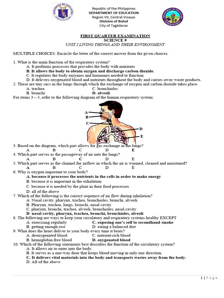 1st Quarter Test | PDF | Heart | Dominance (Genetics)