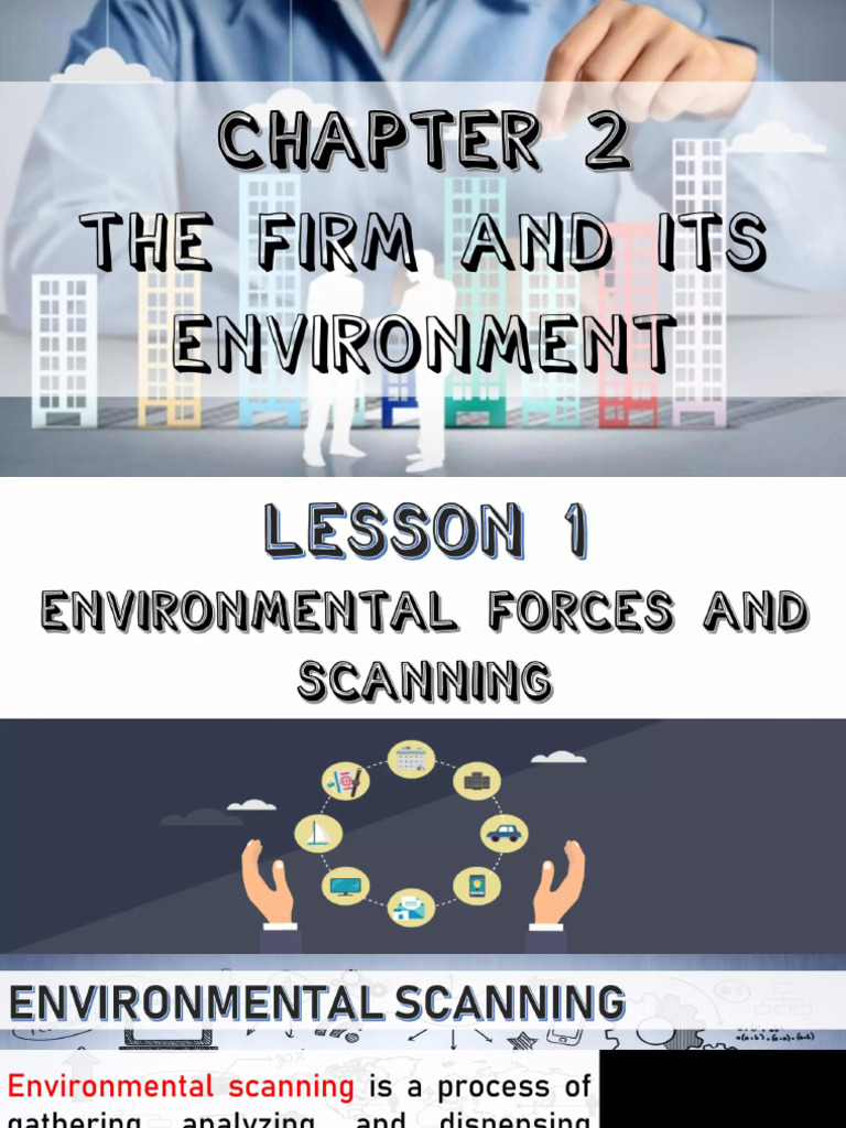 Module 4 - The Firm and Its Environment | PDF