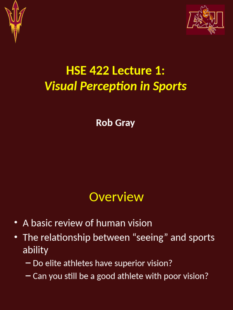 Lecture 1 - Visual Perception in Sports - Tagged | PDF | Visual Cortex ...