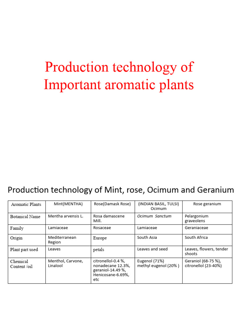 Aromatic Plants | PDF | Mentha | Essential Oil