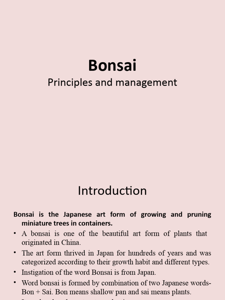 Bonsai | PDF | Bonsai | Trees