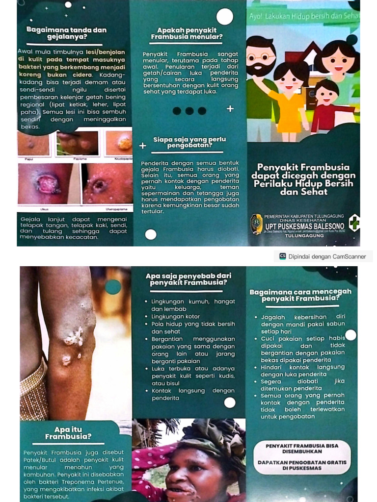 Sosial Promosi Tentang Penyakit Frambusia Melalui Leaflet | PDF